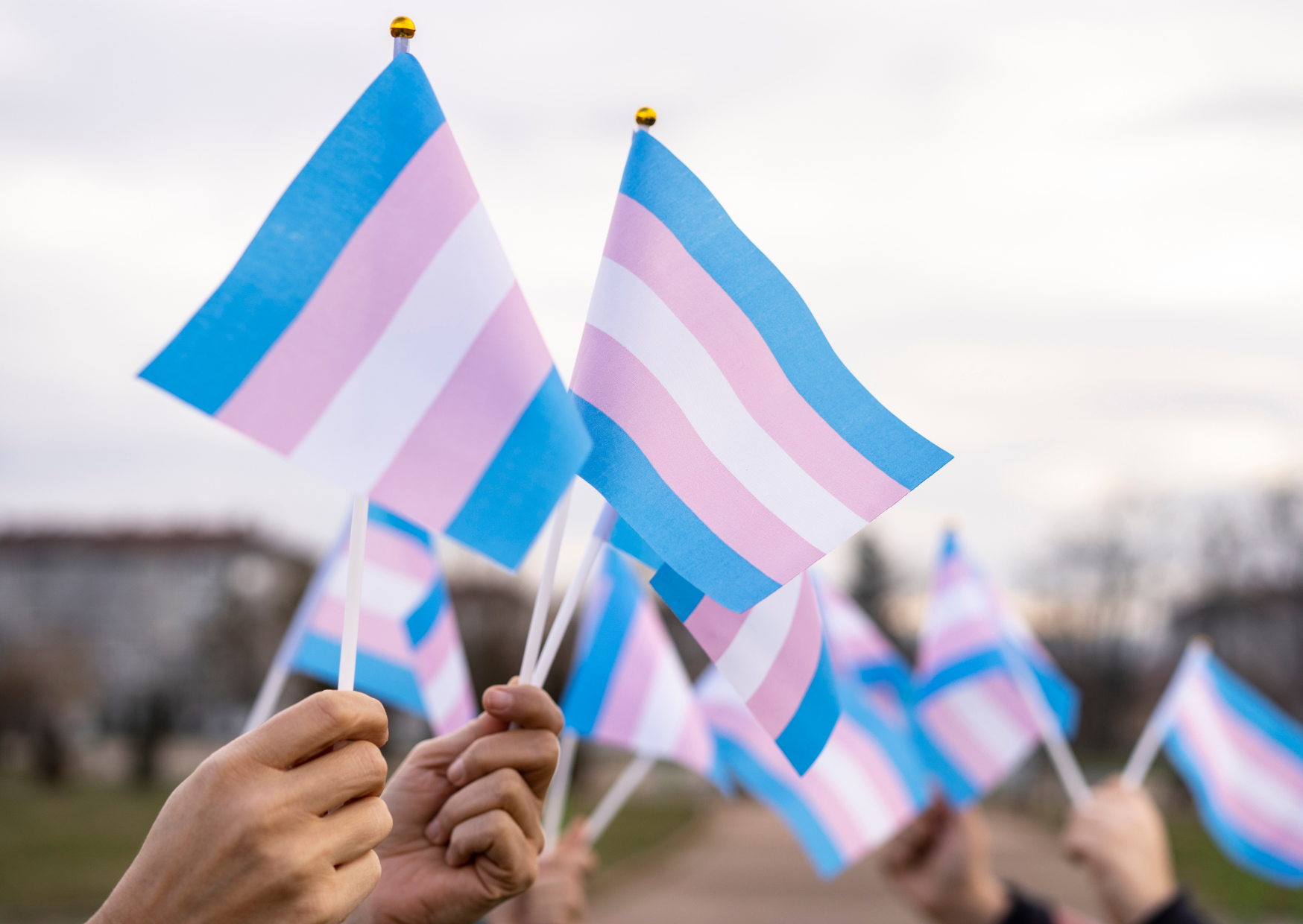 Transgender Awareness Week 2024 | East London NHS Foundation Trust