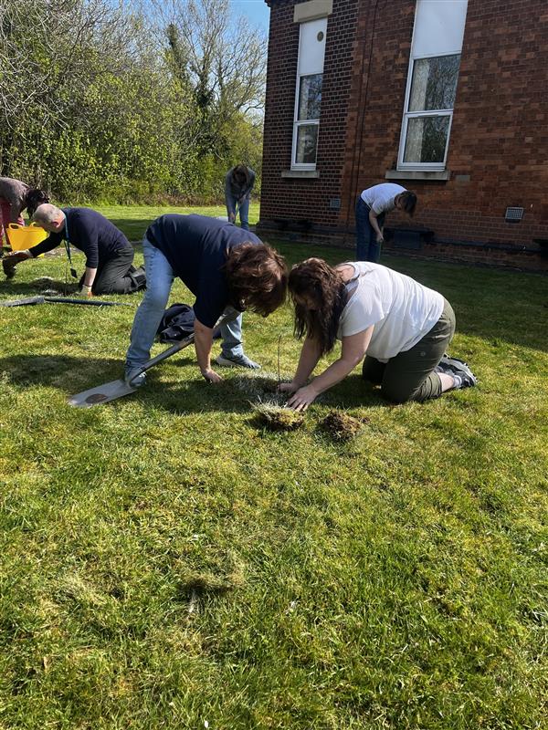 150 NHS Forest Trees planted at Twinwoods | East London NHS Foundation ...