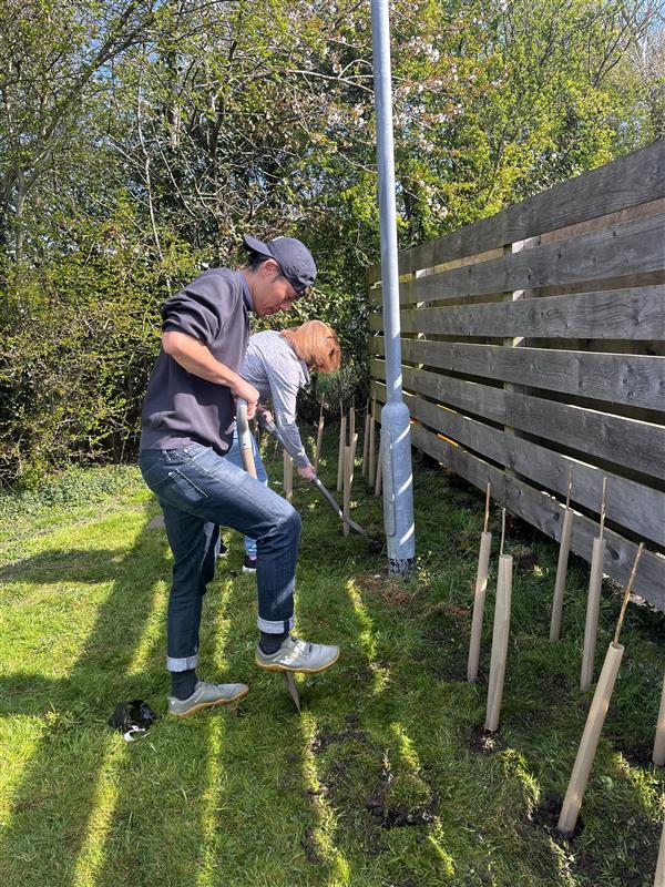 150 NHS Forest Trees planted at Twinwoods | East London NHS Foundation ...